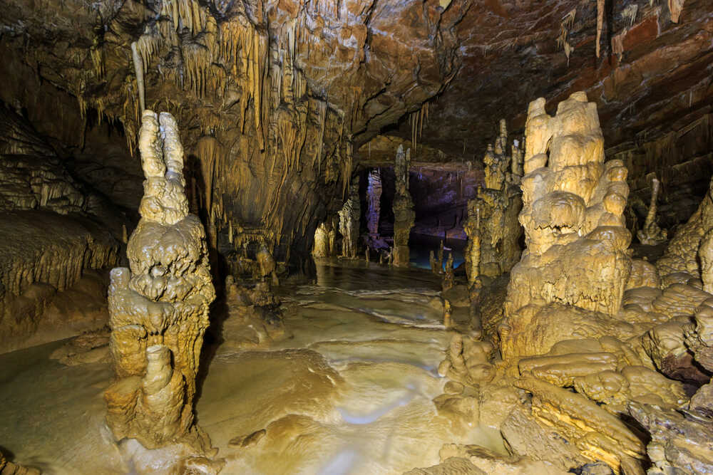 5 Rescued From 55-Hour Entrapment In Cave | Red Nation Today